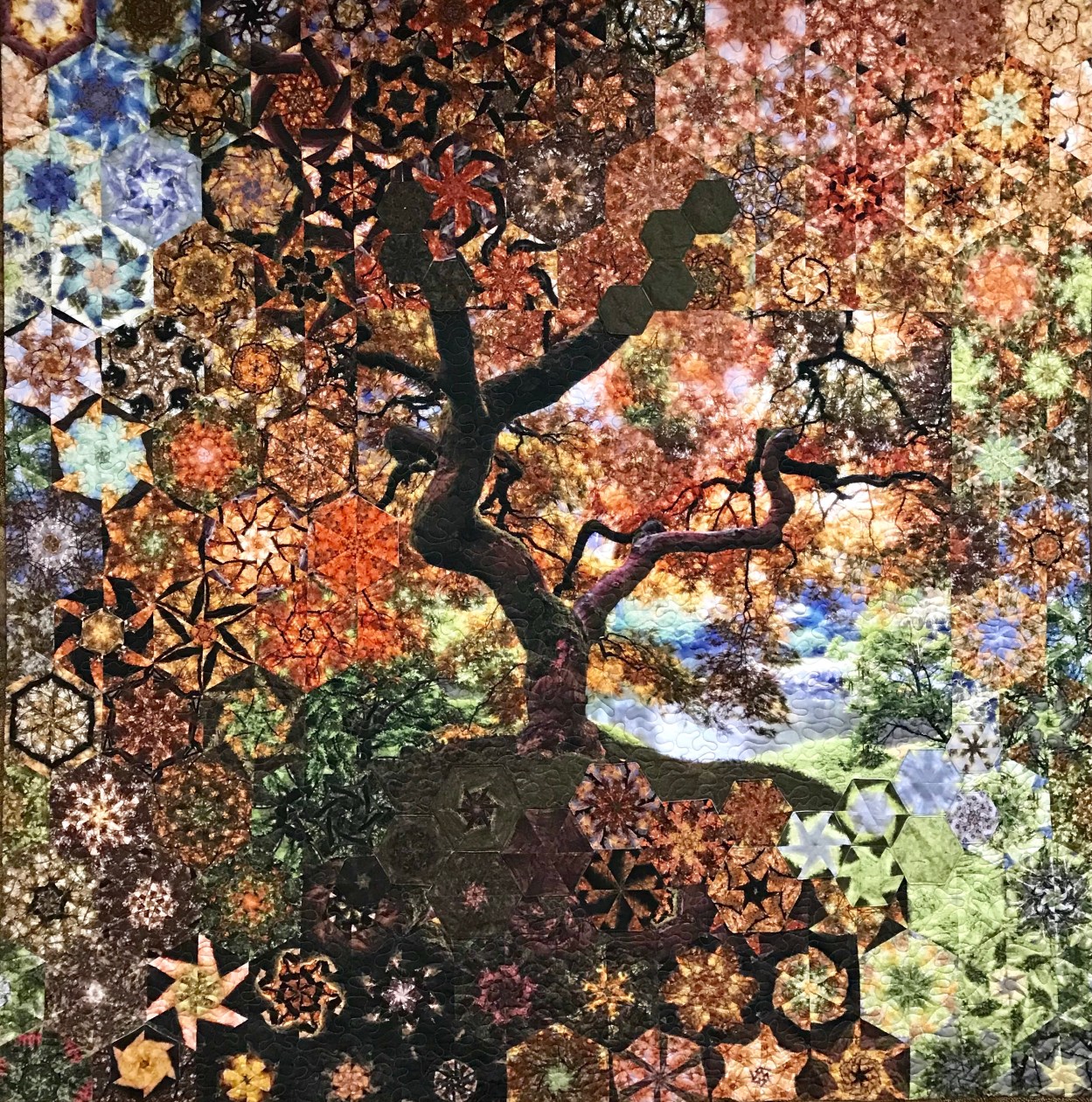 Using Panels | If These Threads Could Talk